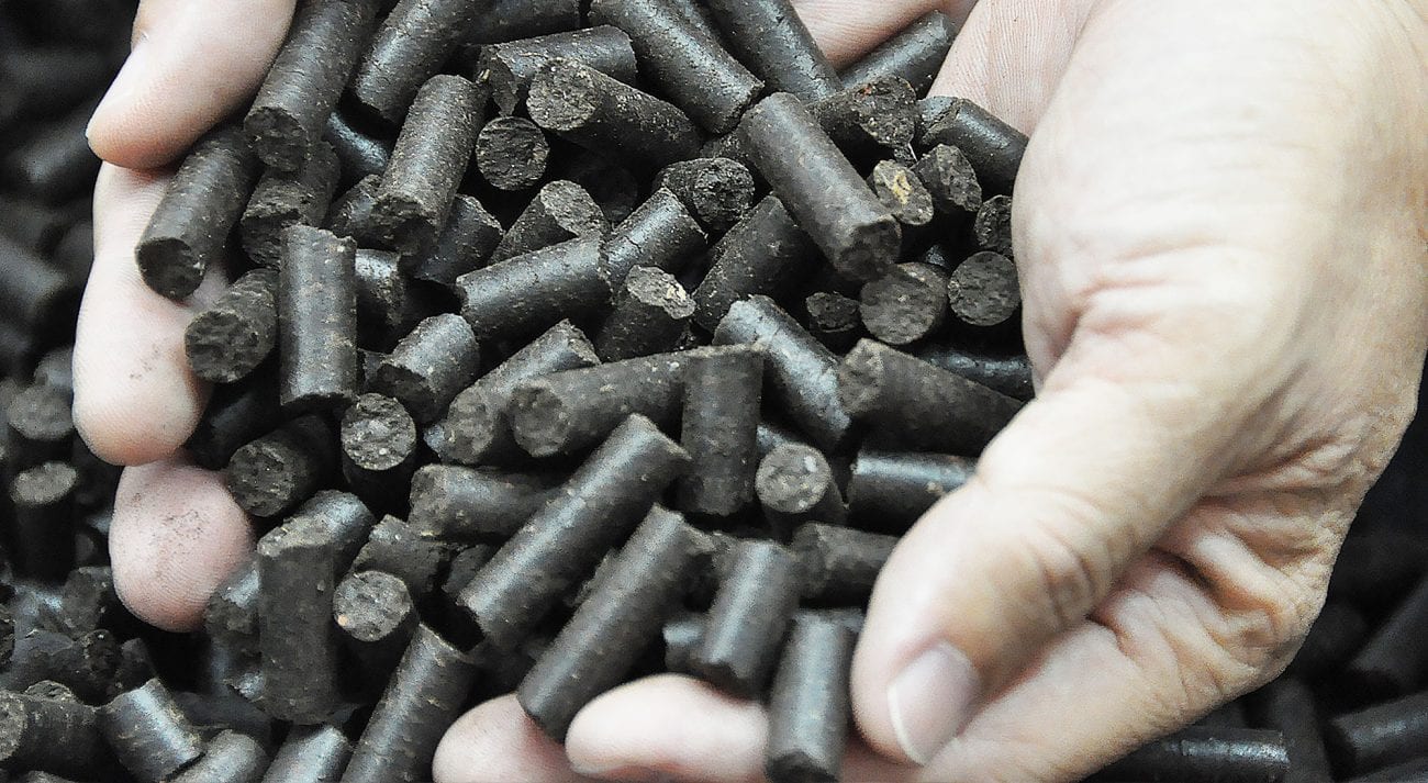 Palm Kernel Shell Pellet (Green Pellet) - BIOENECO