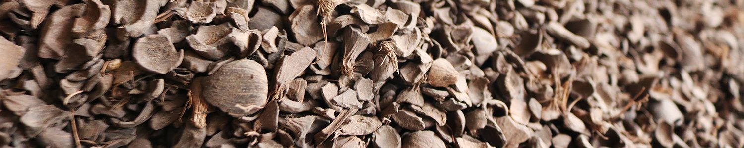 Palm Kernel Shell in Malaysia International Shipping Available